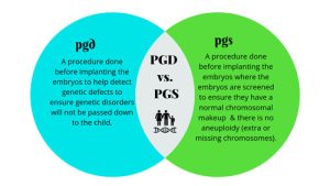 The Difference Between PGD & PGS Testing | SMG Women's Health