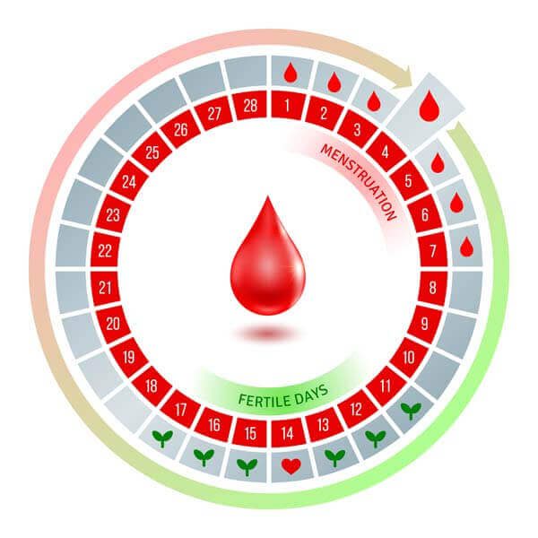 Pre-Pregnancy Check-Up & Pre-Conception Screening | SMG WH